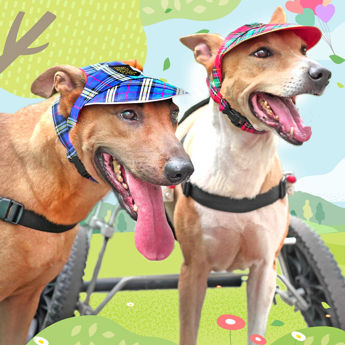 Walking Caps | Fur The Sporty